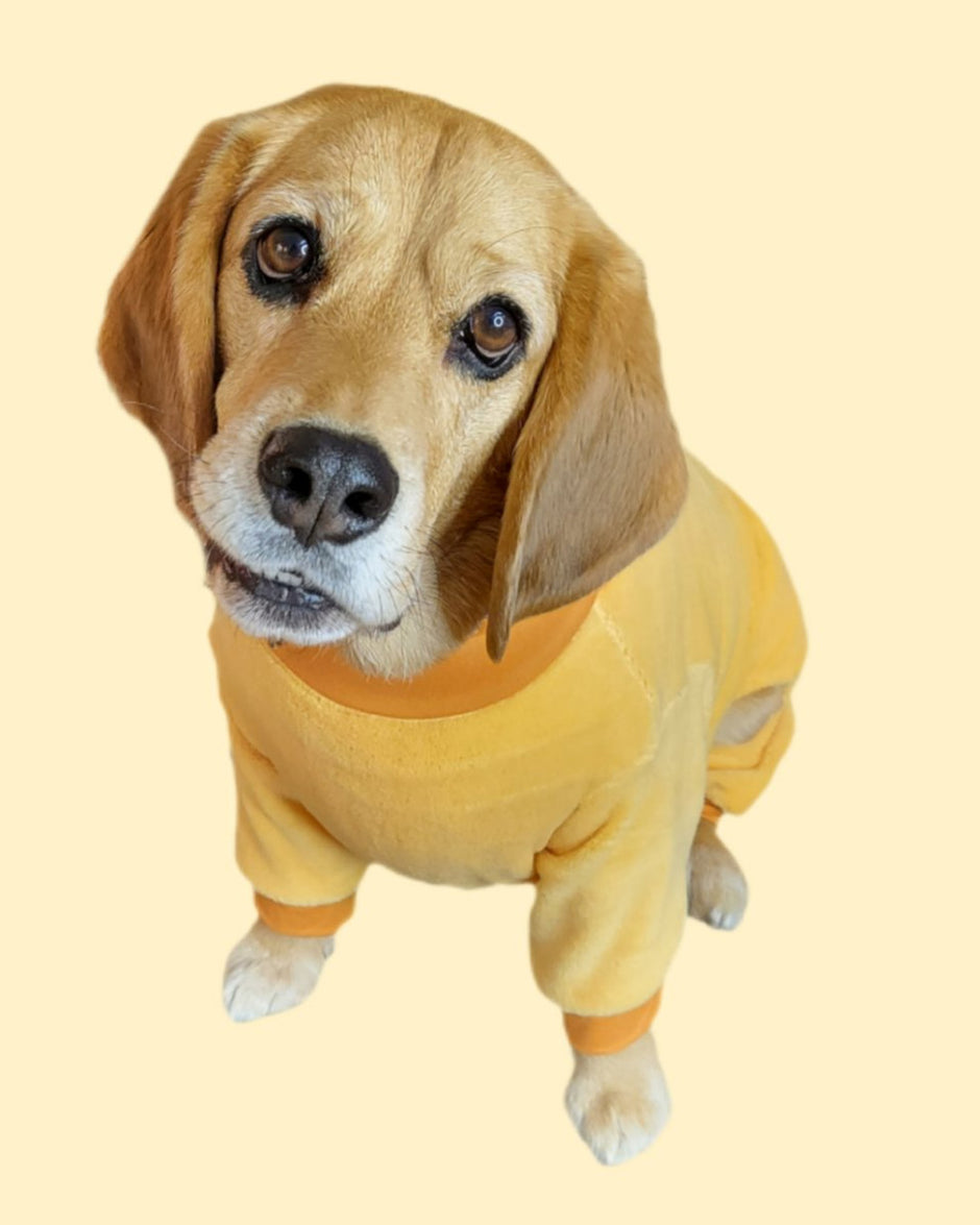 Fleece Onesies and Jumper Collection – Dougs World